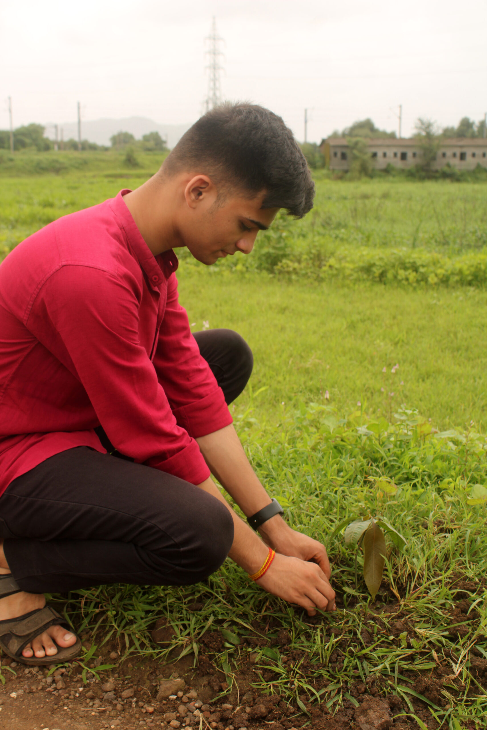 Tree Plantation - Royal College Dombivli