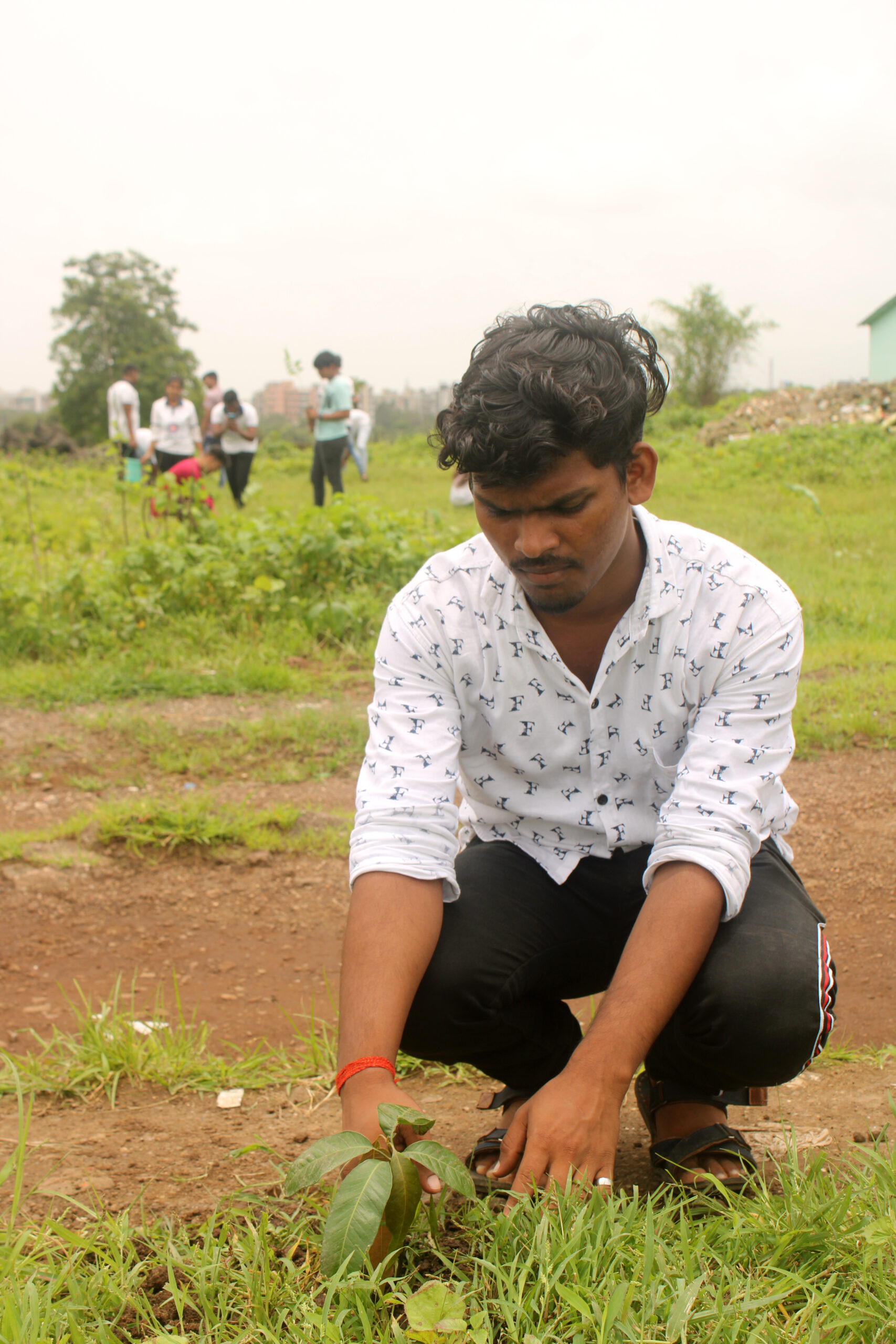Tree Plantation - Royal College Dombivli