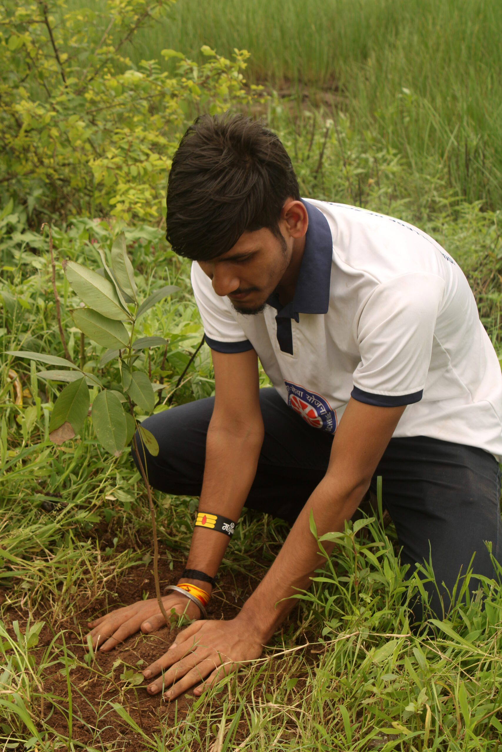 Tree Plantation - Royal College Dombivli